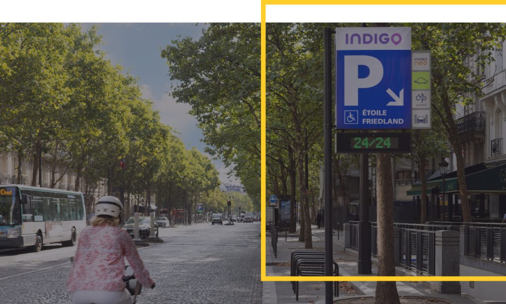 Applicants - INDIGO Group